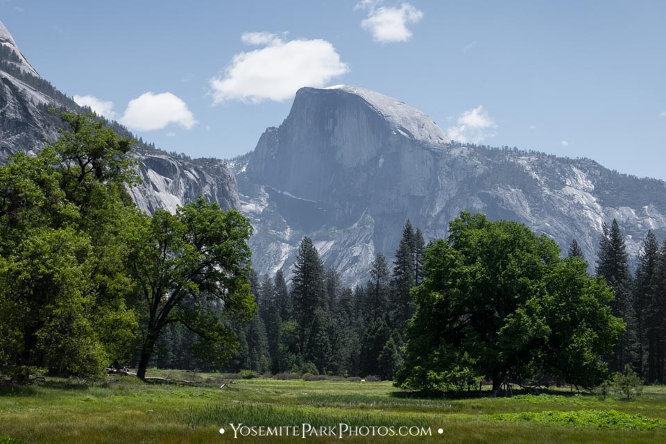 5 Reasons Spring is the Best Time For a Park Visit | Yosemite Park Photos