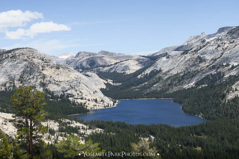 Tenaya Lake Photos - A Beautiful Roadside Gem | Yosemite Park Photos