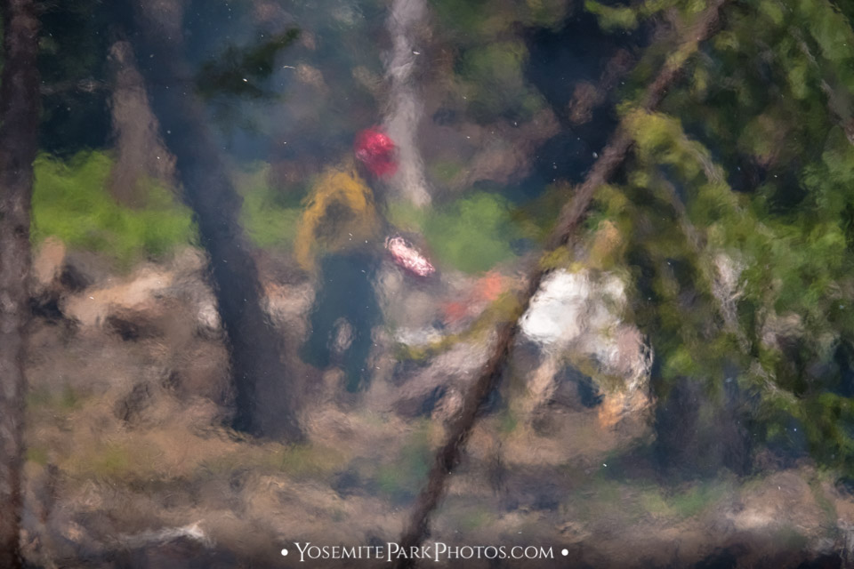 Yosemite Wildfires and Fire Prevention Crews | Yosemite Park Photos