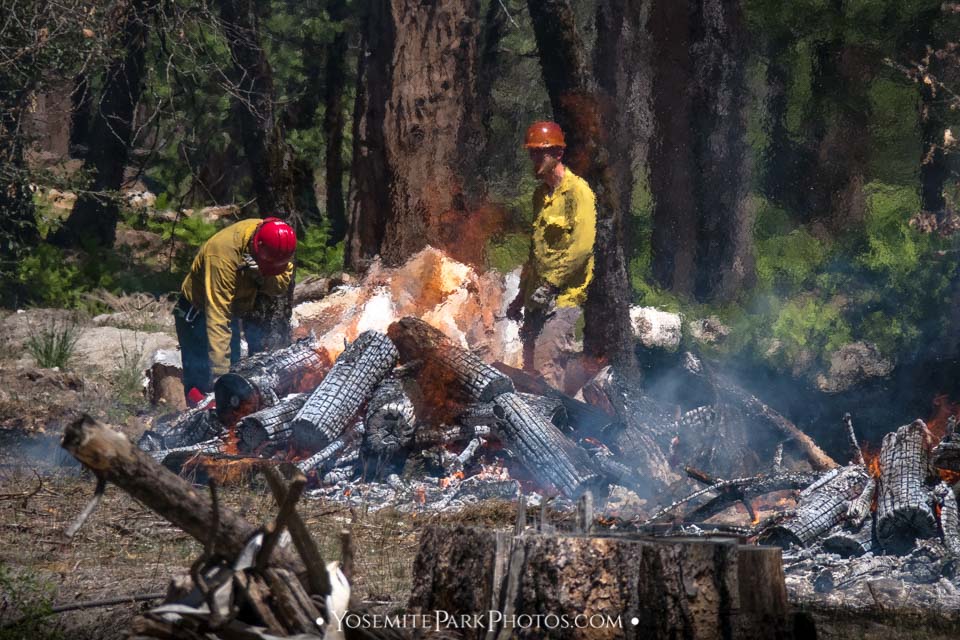 Yosemite Wildfires and Fire Prevention Crews | Yosemite Park Photos