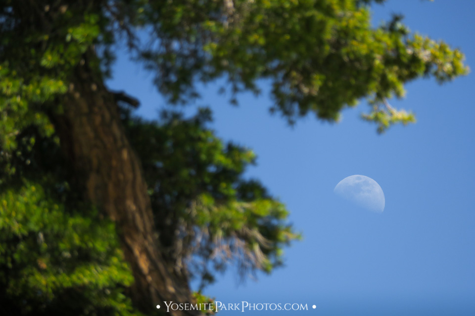 Yosemite Full Moon & Phases - Night Photography | Yosemite Park Photos