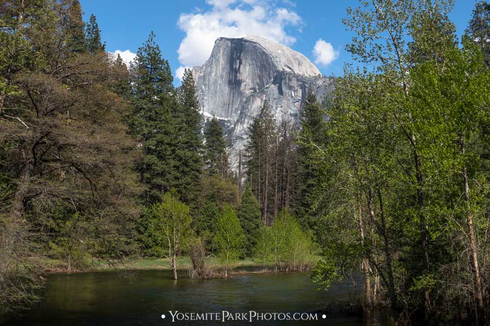 Merced River Photos - The Lifeline of the Valley | Yosemite Park Photos