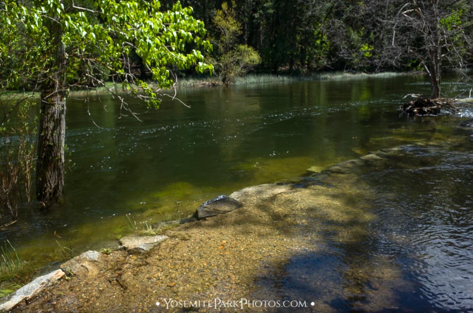 Yosemite Floods - Swollen Rivers & Creeks | Yosemite Park Photos