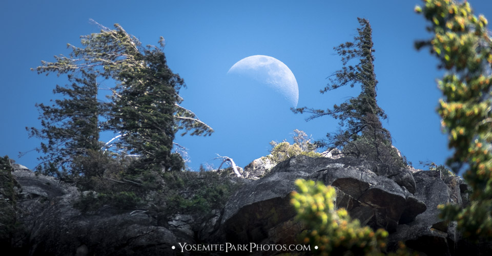 Yosemite Full Moon & Phases - Night Photography | Yosemite Park Photos