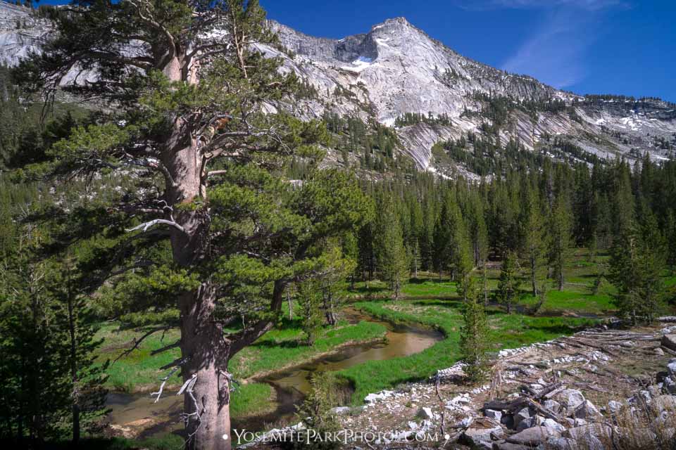 Yosemite Creeks & Lesser Known Waterfalls | Yosemite Park Photos