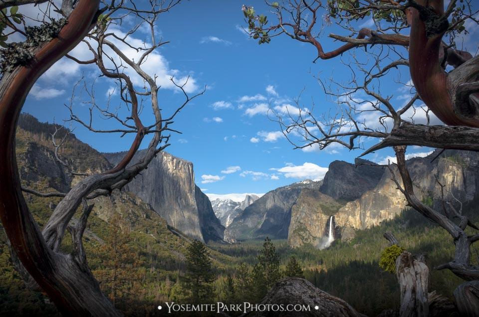 Yosemite Valley Views: Iconic High Sierra Scenes | Yosemite Park Photos