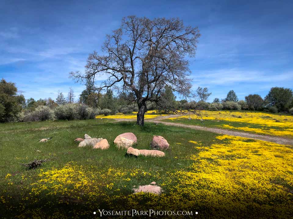 Sierra Foothills Photos: California's Rolling Hills | Yosemite Park Photos