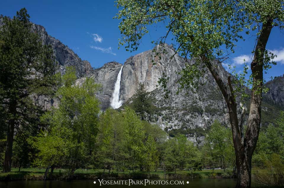 5 Stunning Yosemite Valley Landmarks | Yosemite Park Photos